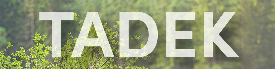 TADEK | band.fm - boutique de musique en ligne par Wiseband